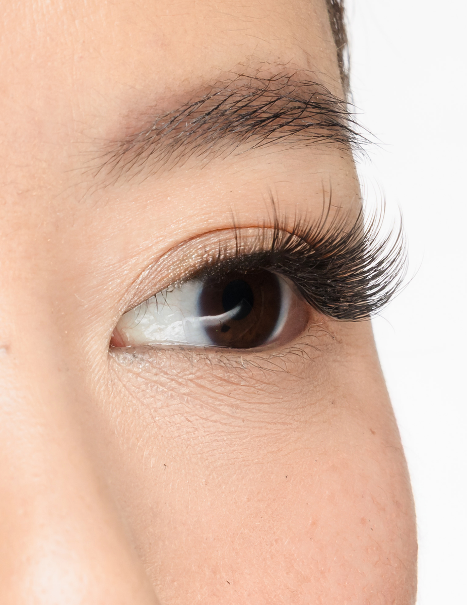 Love out Loud Lash Style | True Beauty Lashes