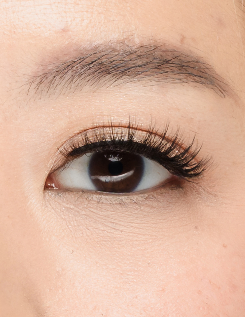True Beauty Lashes | Unwritten Story Lash Style