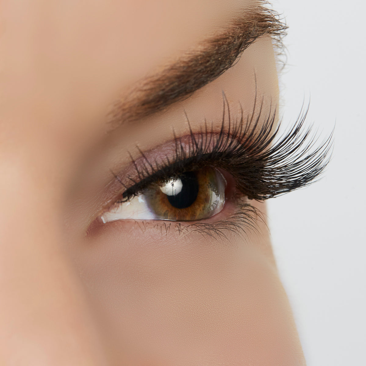 True Beauty Lashes | Making Moves Lash Style