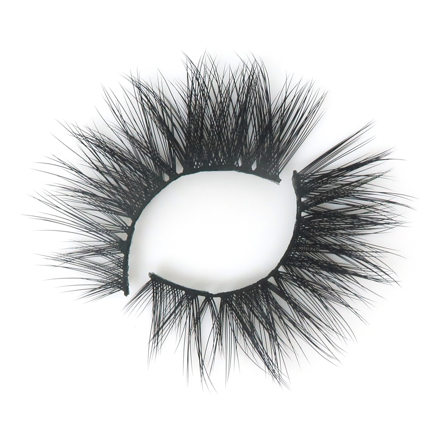 True Beauty Lashes | Light up the Room Lash Style