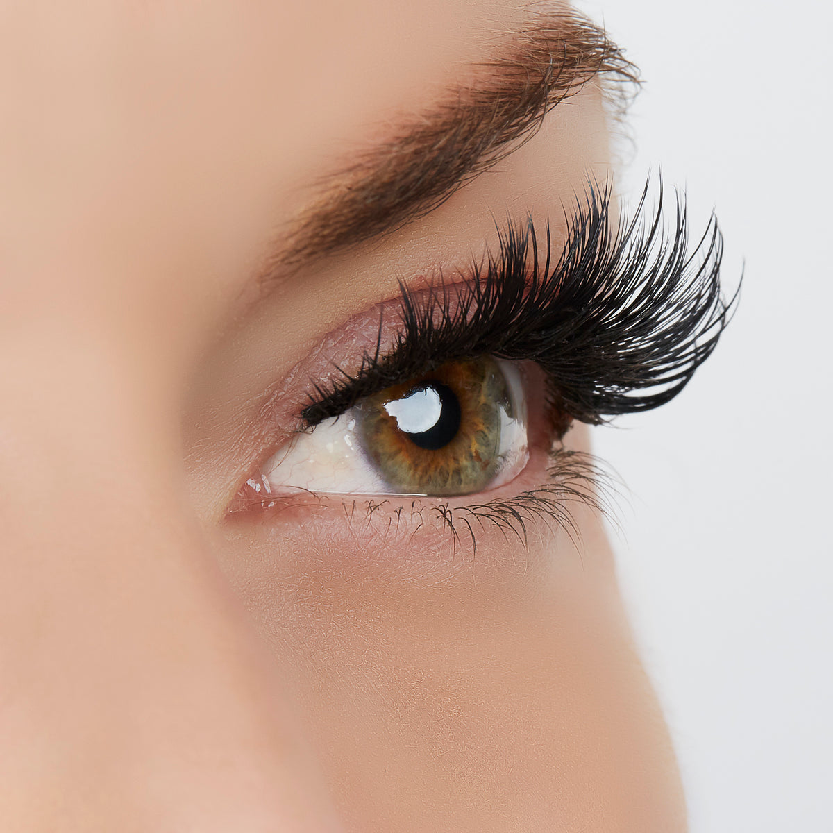 True Beauty Lashes | Original Inspo Lash Style