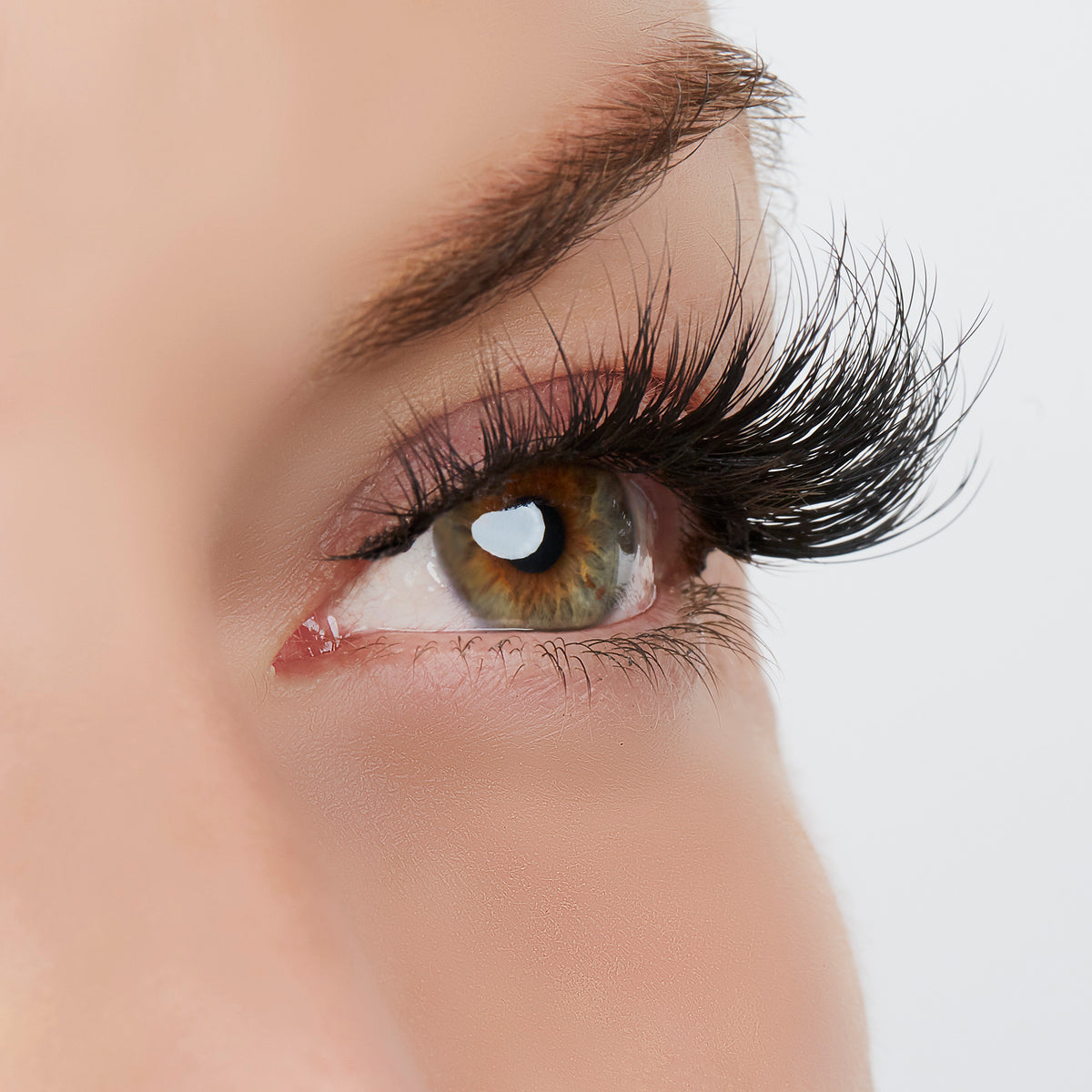 True Beauty Lashes | Light up the Room Lash Style